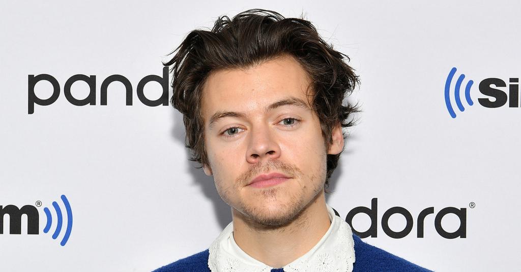 Frat Boy Harry Styles Is Back and His Fans Can't Handle It — Details