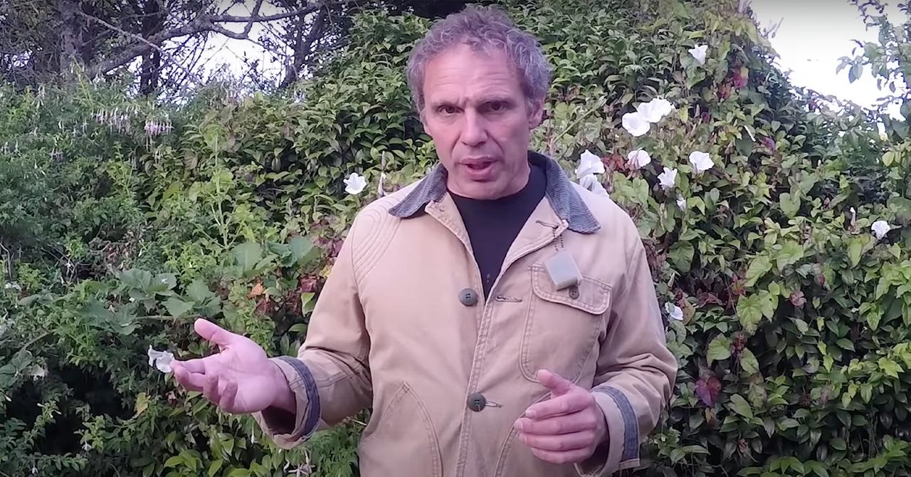 Inside Paul Harrell's Pre-YouTube Military Career