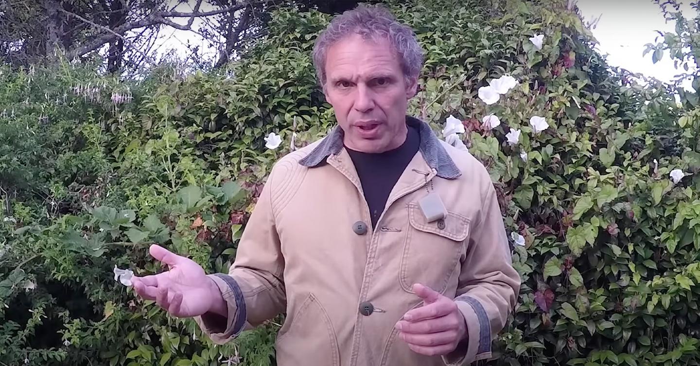 Inside Paul Harrell's Pre-YouTube Military Career