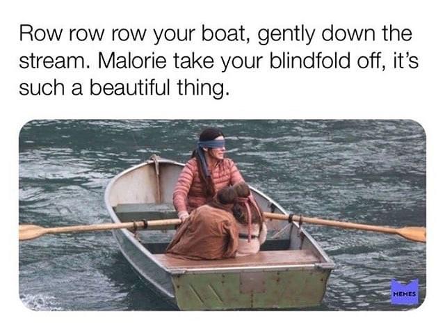 'Bird Box' Memes: 17 Hilarious Takes on the Netflix Horror Movie