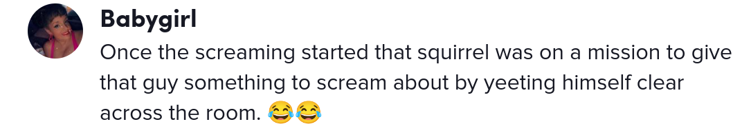 Man Screeches During Zoom Call After Squirrel Gets Into Office