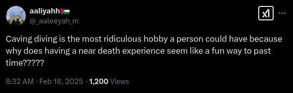 TikTok's Cave Diver Meme, Explained