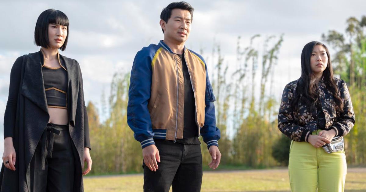 What Happened to 'Shang-Chi' Stuntman Brad Allan? Cause of Death Explained