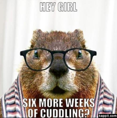 Funny Groundhog Day Memes You Can Laugh at No Matter the Forecast