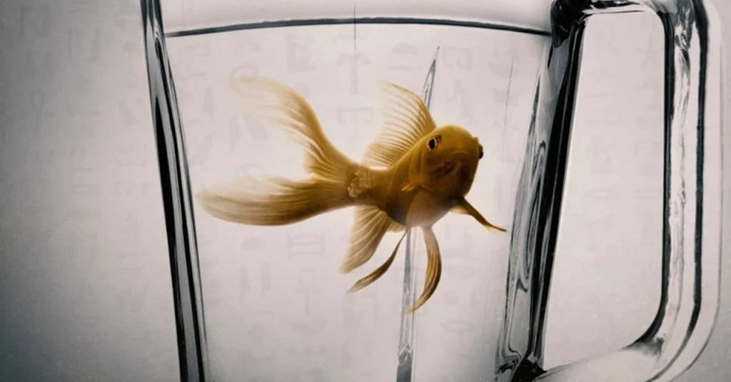 What Is the Meaning of the Goldfish in ‘Moon Knight’? We Explore the ...