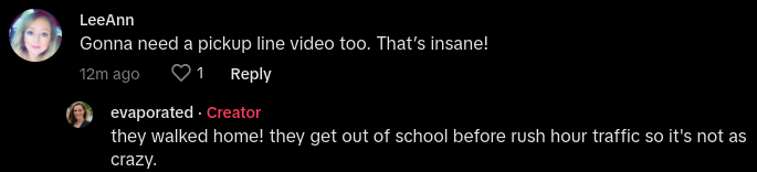 Mom Records Over 100 Cars in “Ridiculous” School Drop-off Line