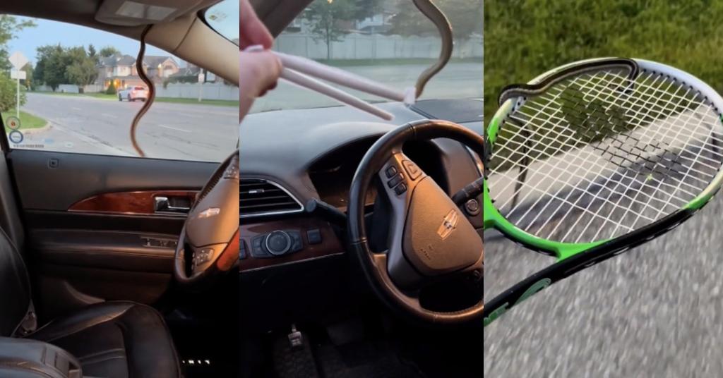 Woman Finds Snake in Car, Shows Bravery We Can Only Dream Of