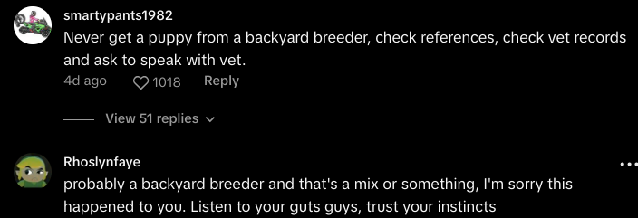 “Shady” Dog Breeder Tries Suing Customer After She Bought Dog