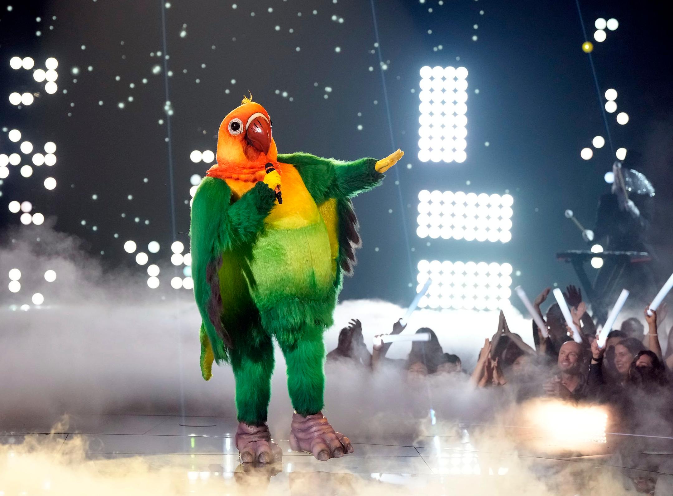Lovebird on 'The Masked Singer' Has Been Revealed! (SPOILERS)