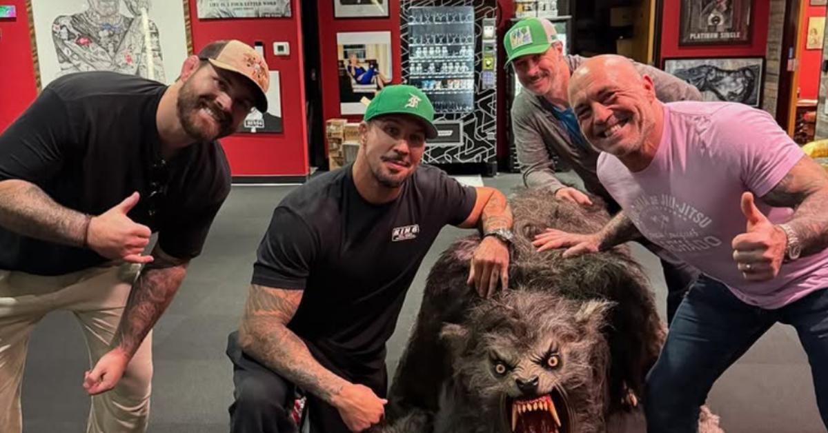 Does Joe Rogan Have a Private Security Team?