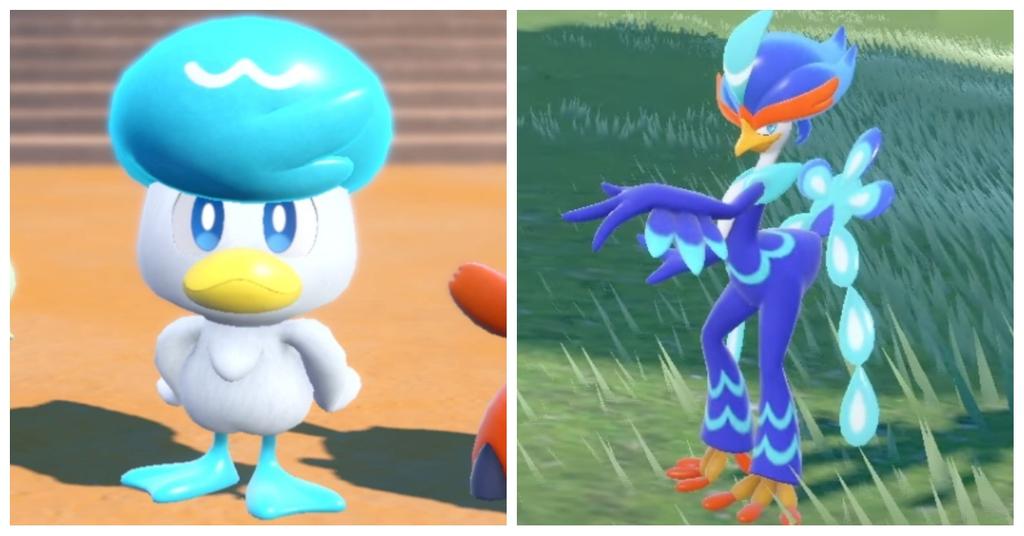 Quaxly Evolution Memes: Pokémon Fans Say "Yass" to Quaquaval