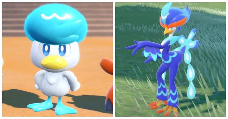 Quaxly Evolution Memes: Pokémon Fans Say "Yass" to Quaquaval