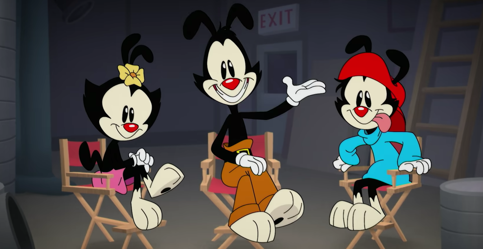 What Kind of Animal Are the Animaniacs? Are They Dogs, Cats, or Both?