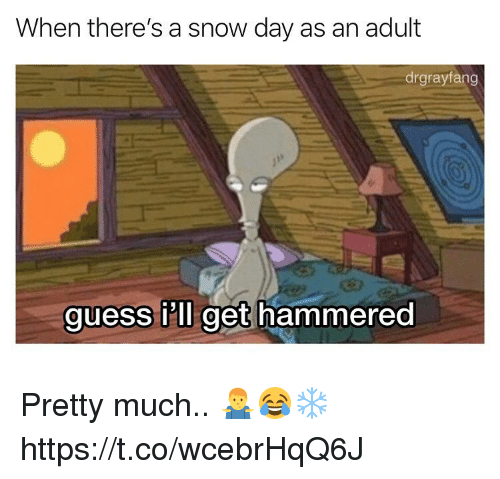 19 Snow Day Memes to Keep You Occupied While You're Stuck Inside