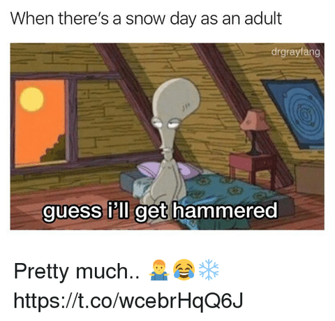 19 Snow Day Memes to Keep You Occupied While You're Stuck Inside