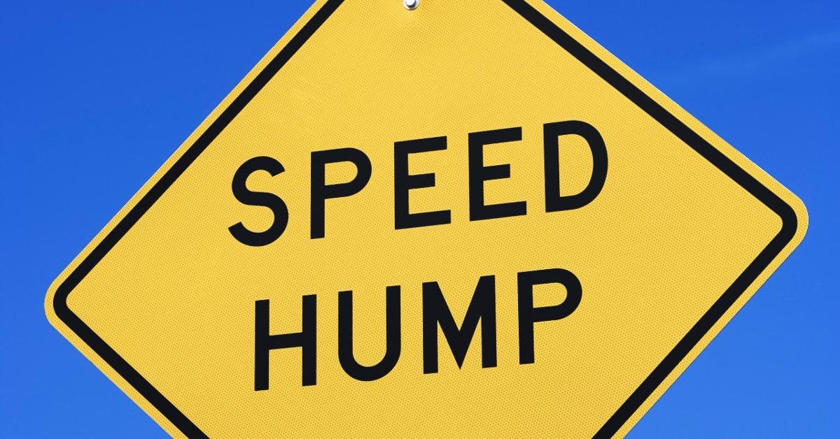 Tiktoker Labeled ”Speed Bump Karen” for Excessive Response