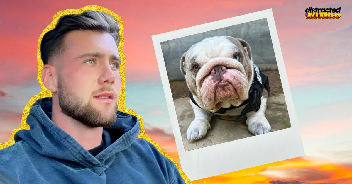 Distracted With... Harry Jowsey (EXCLUSIVE)
