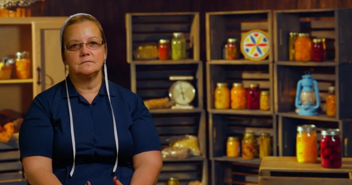 'Return to Amish's Season 7 Cast: Meet the Newcomers