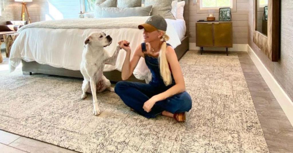 Here’s Where They Film ‘Home in a Heartbeat with Galey Alix’ and More ...