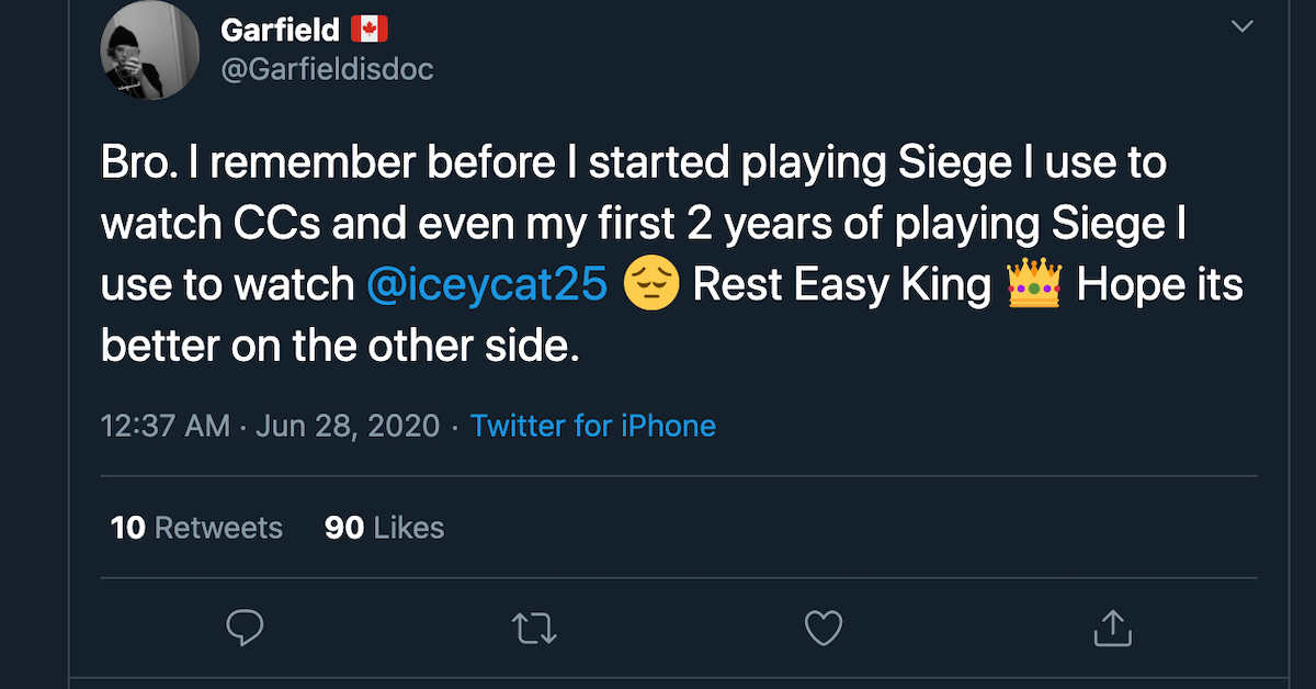 What Was Iceycat25's Cause of Death? The YouTuber Sadly Passed Away