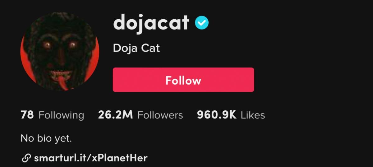 Doja Cat's TikTok PFP May Hint at New Album