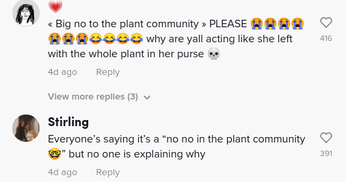TikToker Admits She Steals Her Plants by "Snipping Off" Pieces to Grow ...