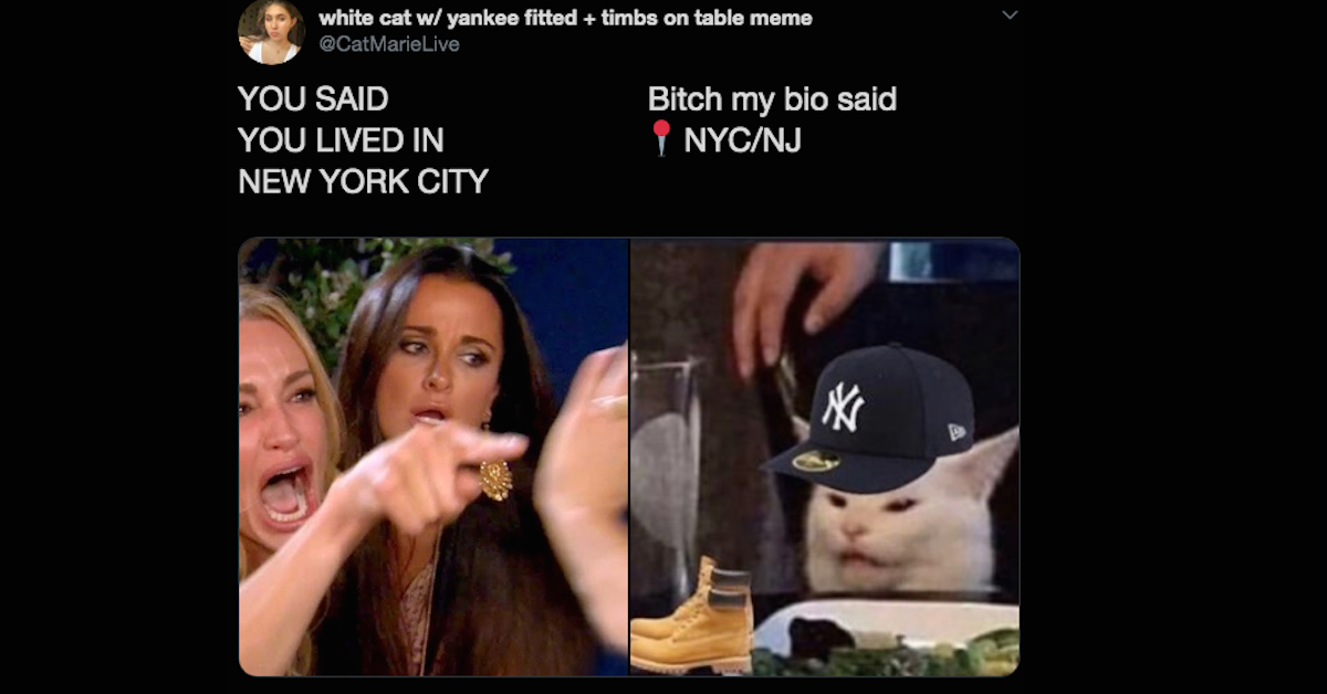 These White Cat Memes Are Peak Internet Humor, TBH — Details