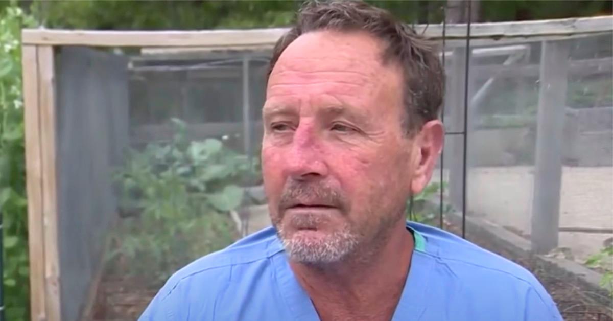 Man Swallowed by Whale: Michael Packard Recounts Run-in With Humpback