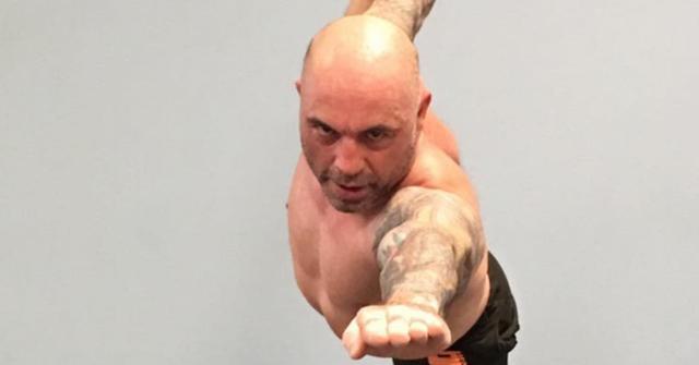 Joe Rogan Has More Than One Black Belt in Martial Arts