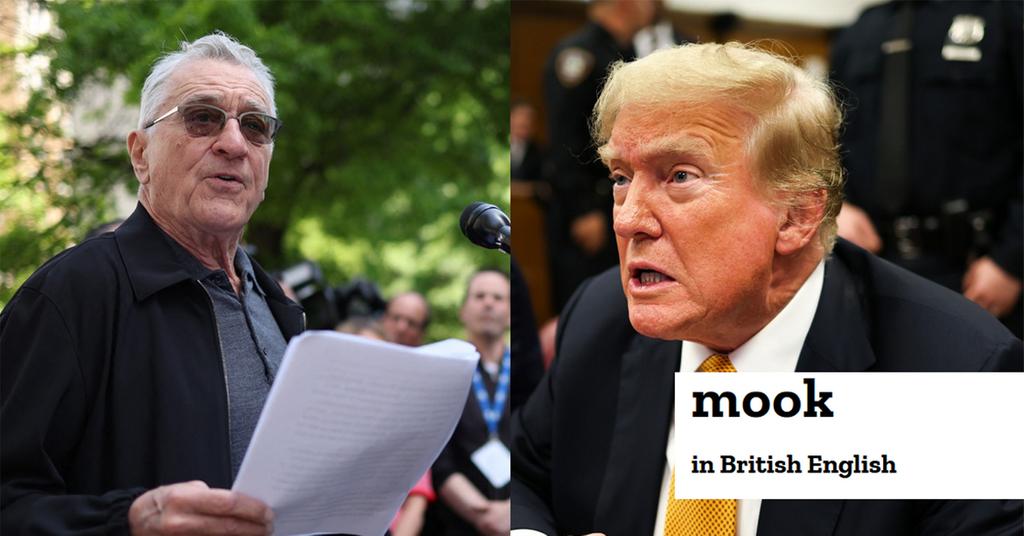 What Does "Mook" Mean in New York? Term Explained