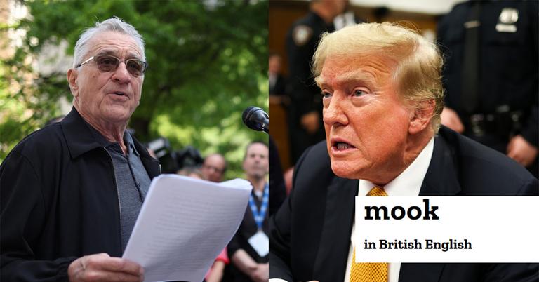 What Does "Mook" Mean in New York? Term Explained