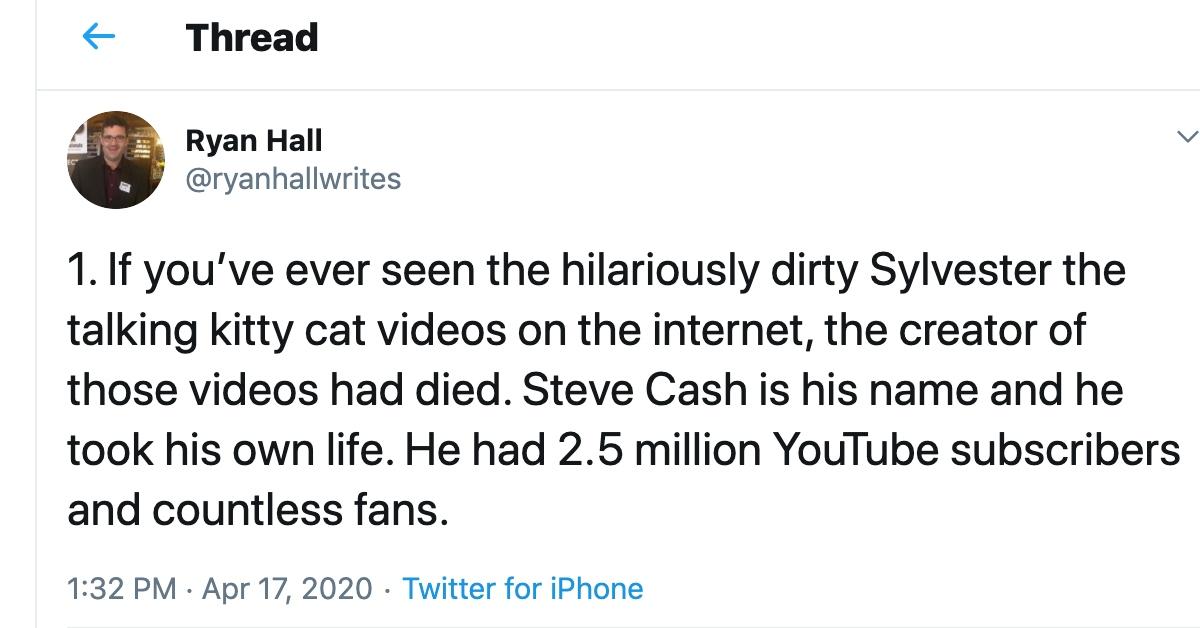 Here's What Happened to Legendary YouTuber Talking Kitty Cat