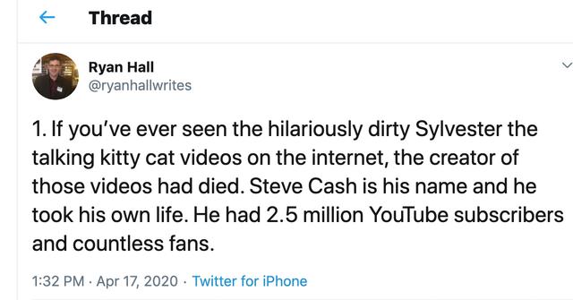 Here's What Happened to Legendary YouTuber Talking Kitty Cat