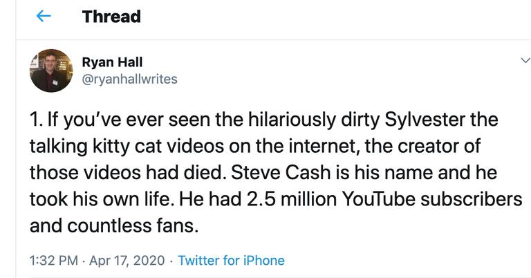 Here's What Happened to Legendary YouTuber Talking Kitty Cat