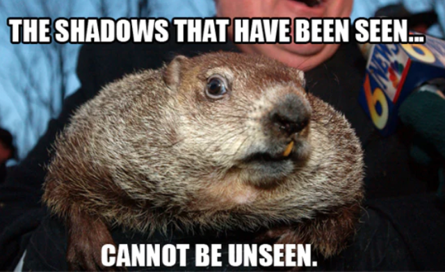 Funny Groundhog Day Memes You Can Laugh at No Matter the Forecast