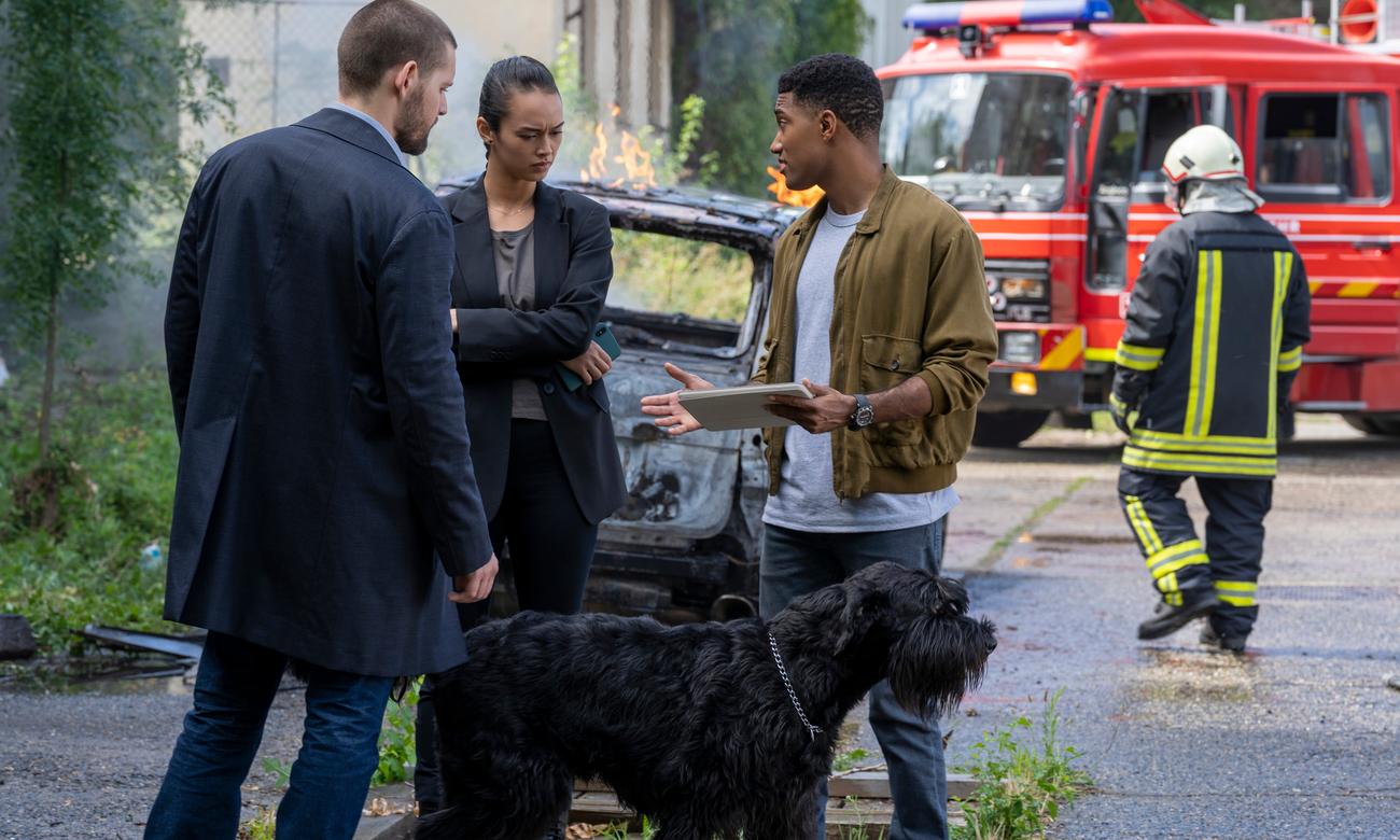 What Happened to Tank on ‘FBI: International’? The Dog Is in Danger