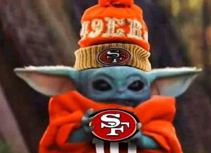 San Francisco 49er Memes to Cheer on Your Fave Team on the Super Bowl