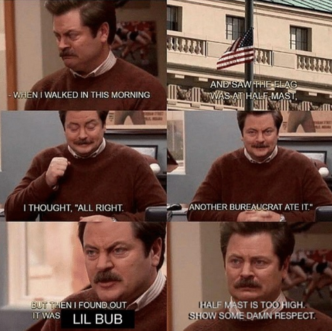 The Best Lil Bub Memes to Memorialize the Internet Cat Star