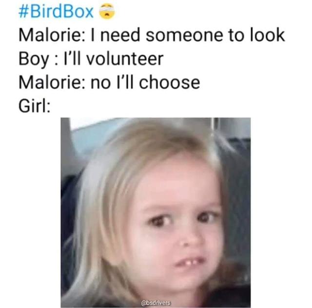 'Bird Box' Memes: 17 Hilarious Takes on the Netflix Horror Movie