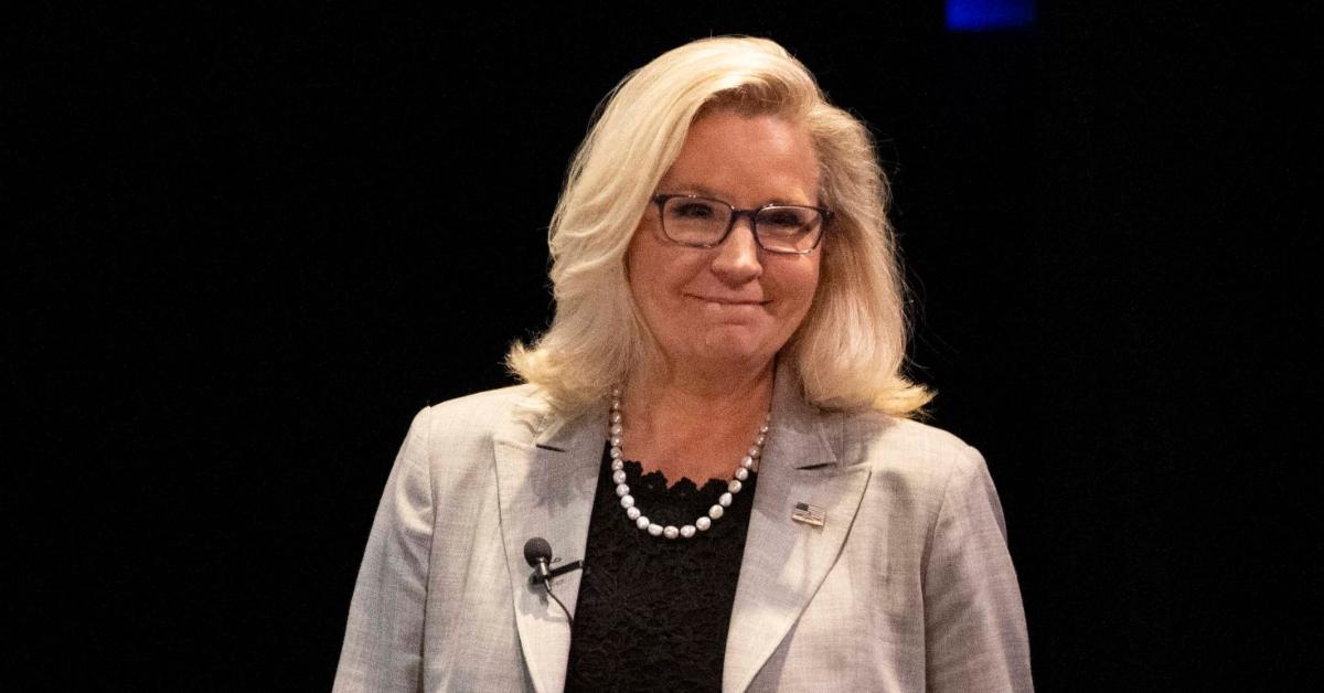 Meet Dick Cheney’s 7 Grandchildren