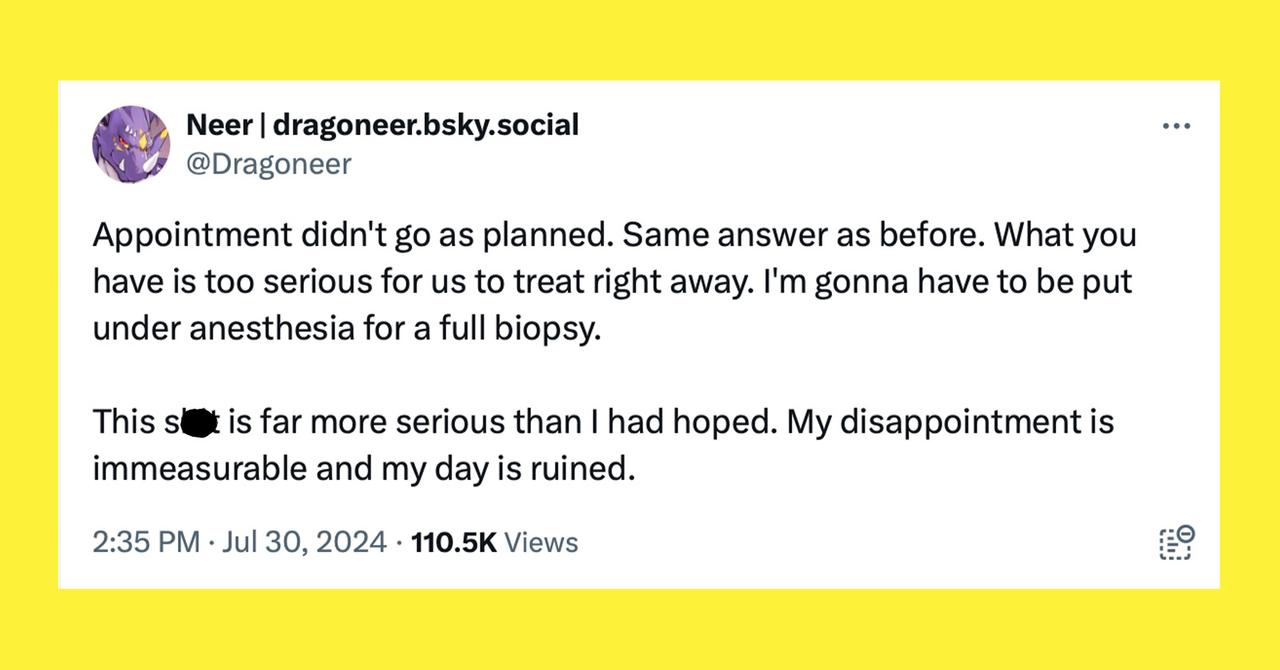 What Happened to Fur Affinity Owner Dragoneer?