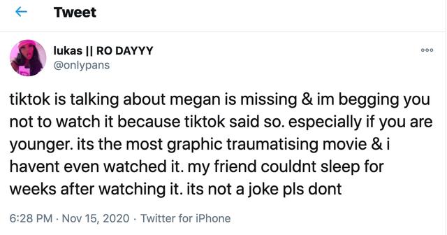 Is 'Megan Is Missing' Real? The Movie Was Influenced by True Events