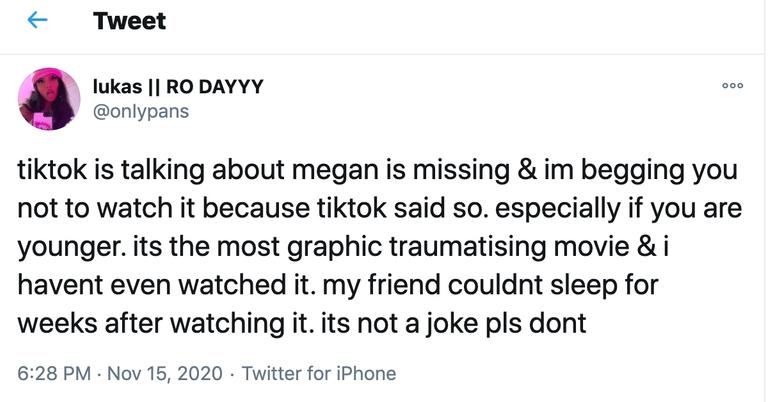 Is 'Megan Is Missing' Real? The Movie Was Influenced by True Events