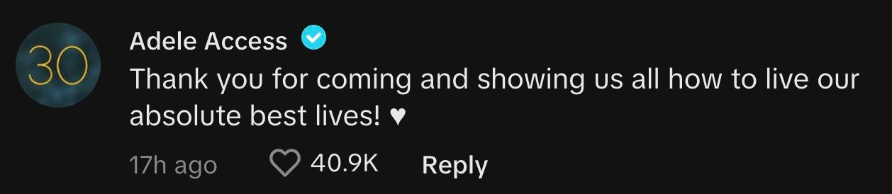 Adele Yells at Security, Defends a Fan at Vegas Concert