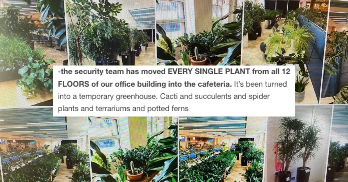 Security Guards Labeled and Watered Office's Plants During Three-Month ...