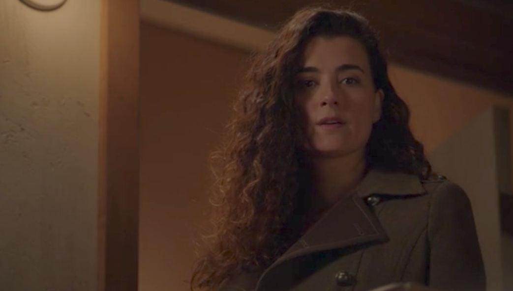 What Happened to Fornell on 'NCIS'? — Refresher Before the Finale