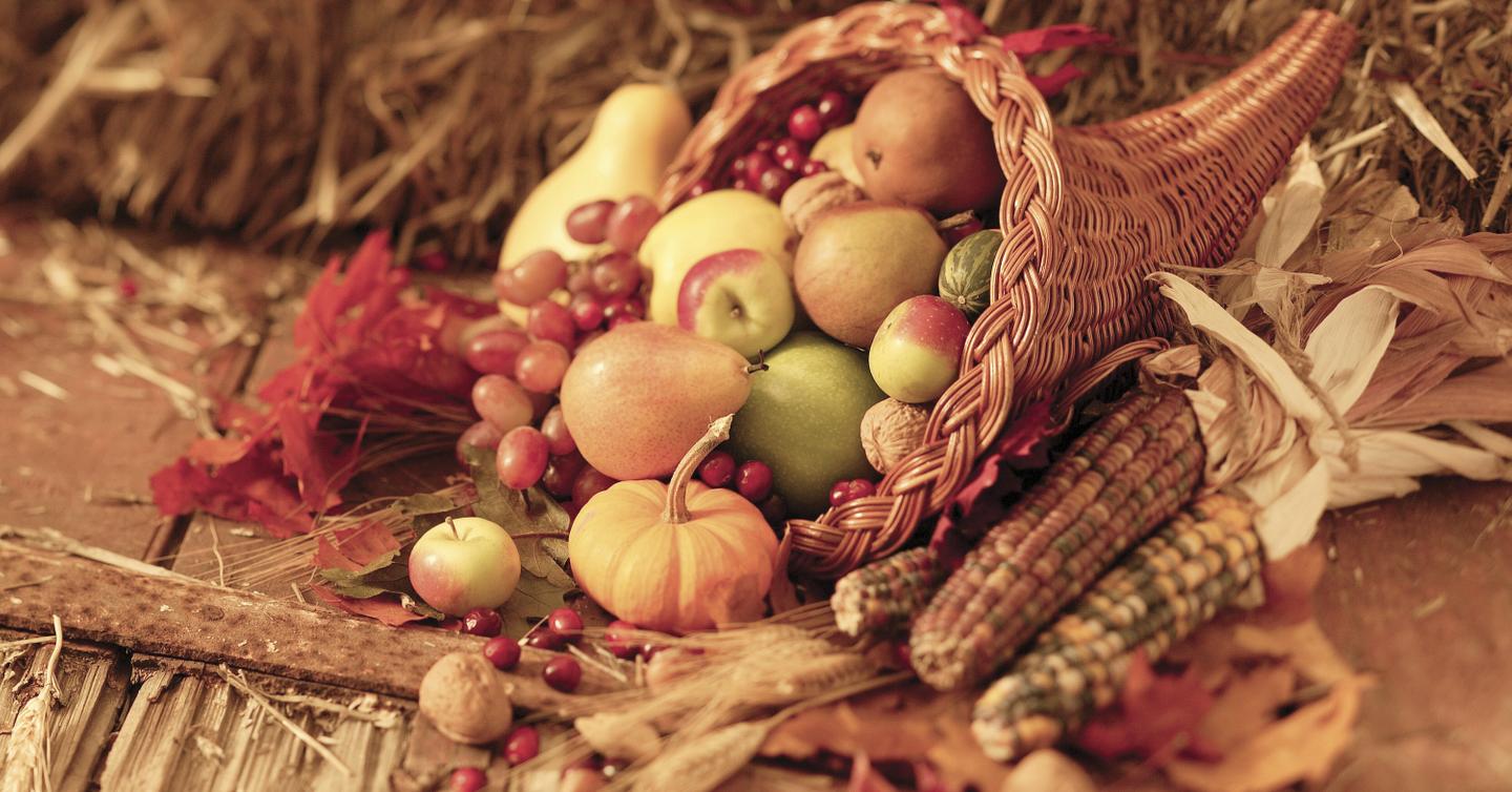 Funny Thanksgiving Quotes — 45 Quotes to Get You in the Gobble Mood