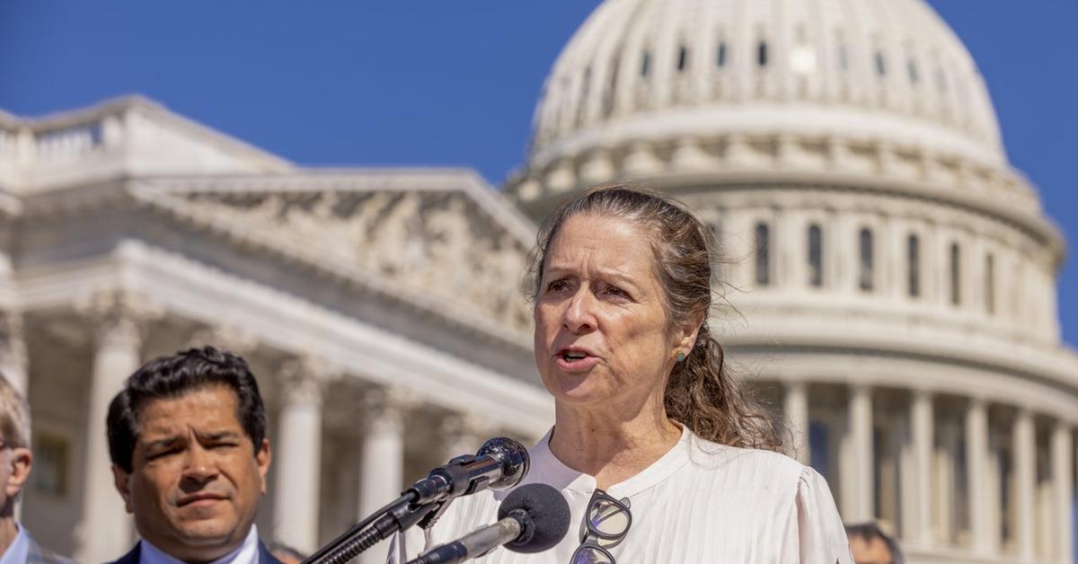 What Is Abigail Disney's Net Worth? Details on the Activist