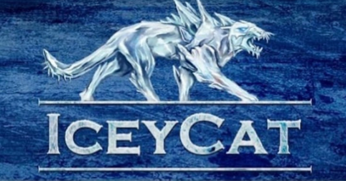 What Was Iceycat25's Cause of Death? The YouTuber Sadly Passed Away