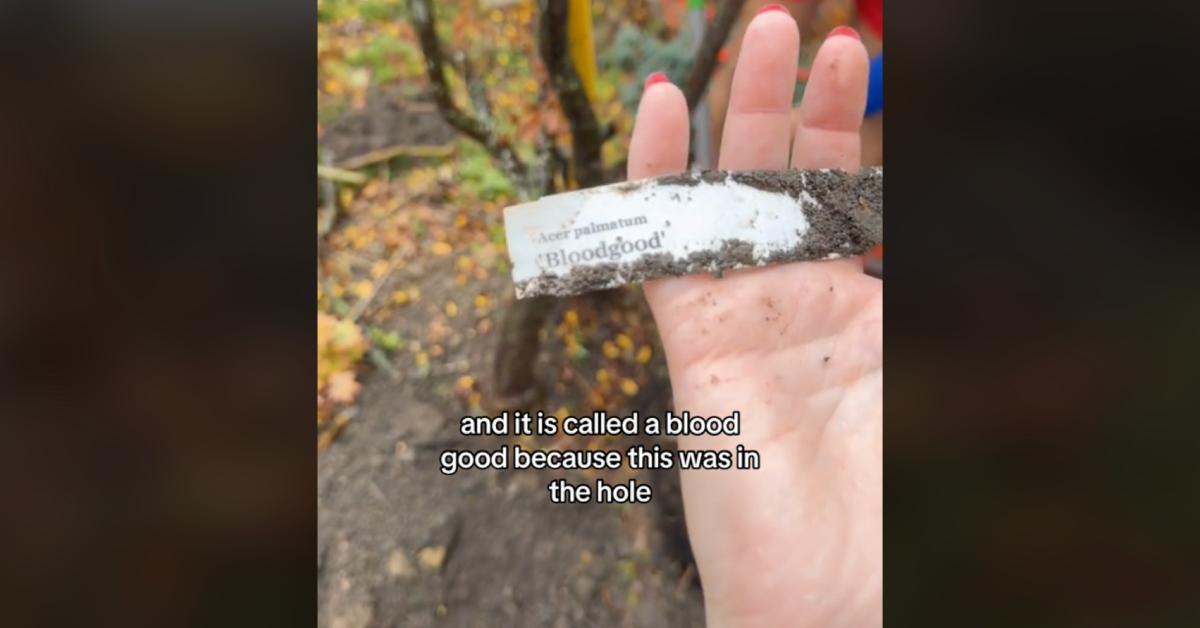 Woman Suspects House Is Haunted, Finds Rolled Rug Buried in Her Lawn